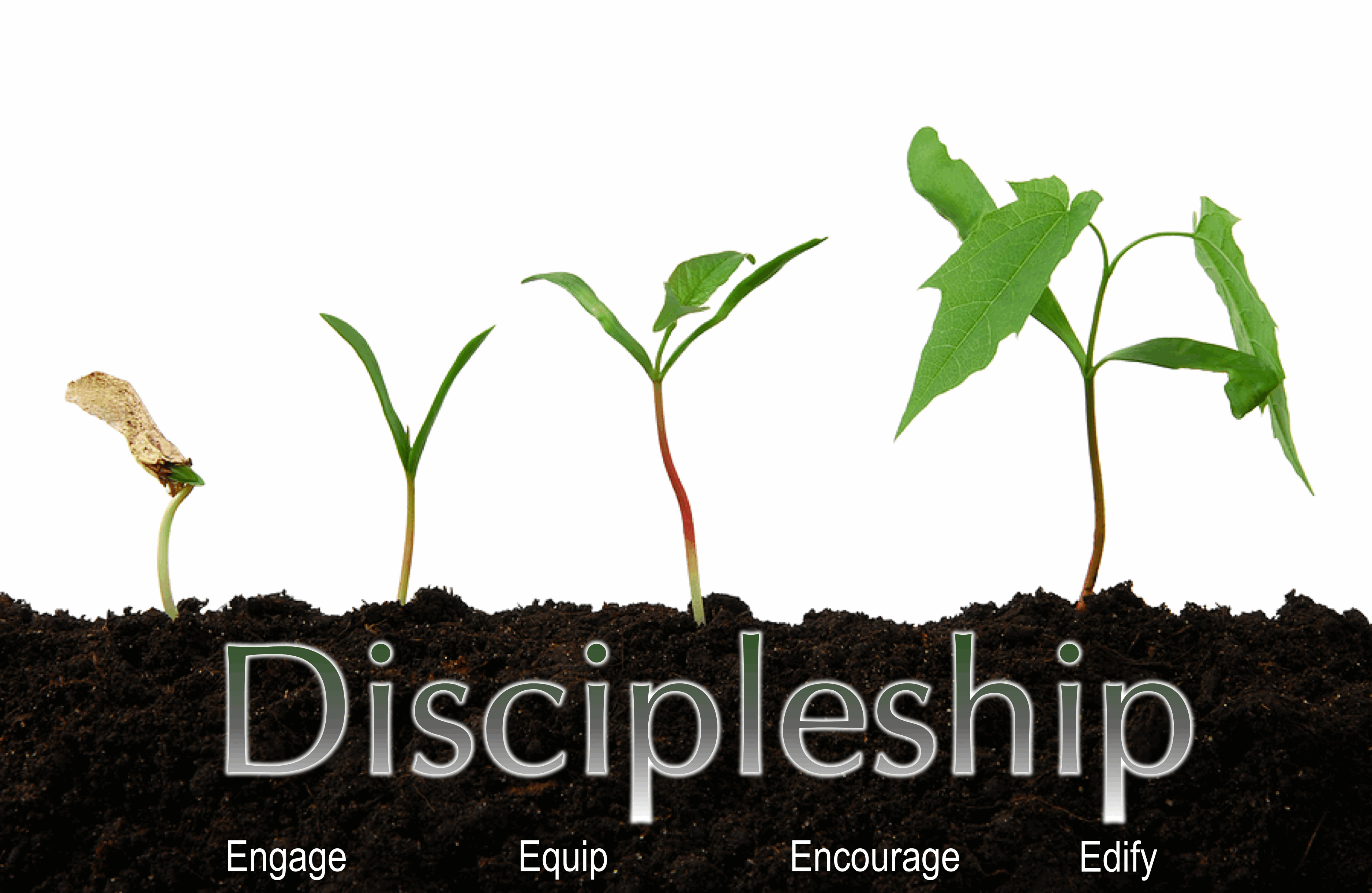 “The REAL signs of a FRUITFUL CHURCH “ – Karen Gaithers-Life Discipleship